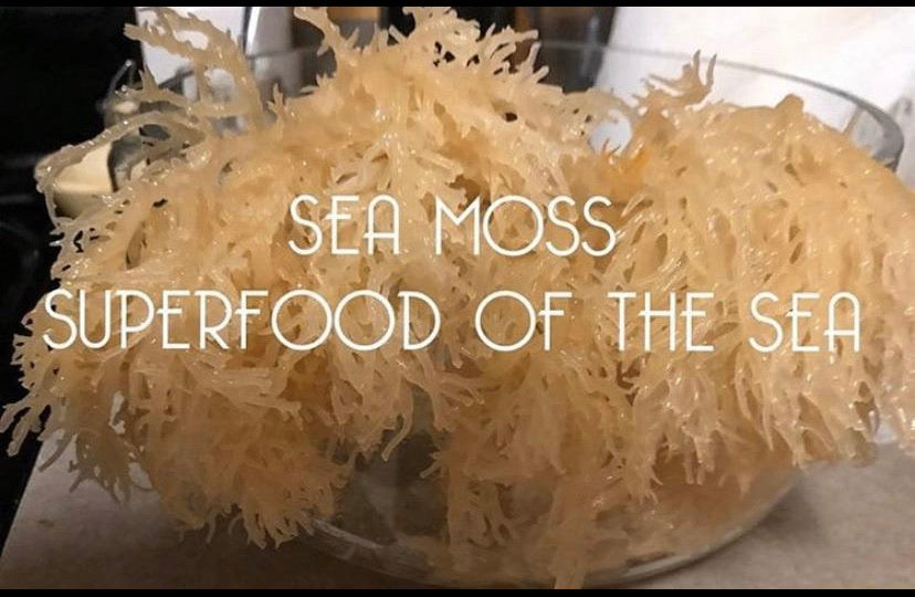 Seamoss (plain) - J.Singh Holistics